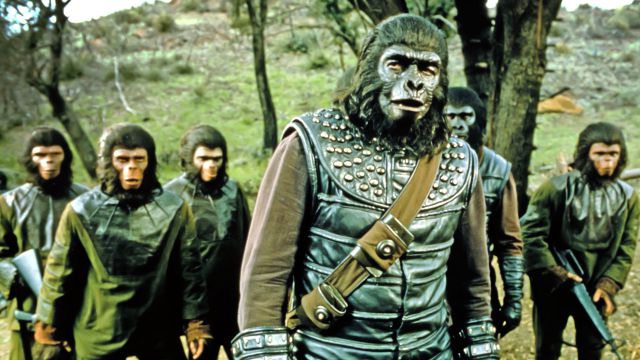 La Planète des singes : comment regarder toute la saga et quel est l ...