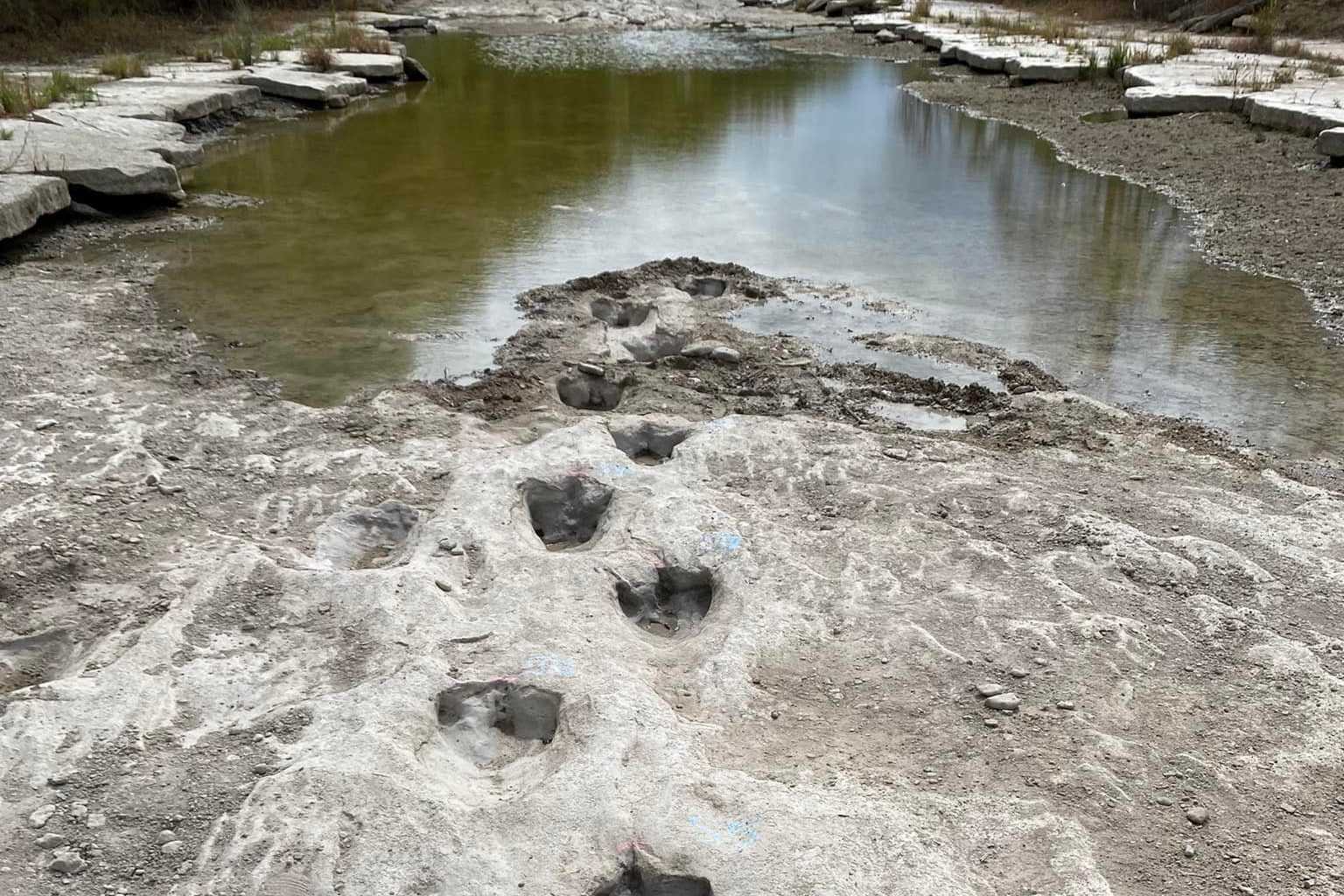 La sécheresse renvoie des traces de dinosaures d'il y a 113 millions d ...