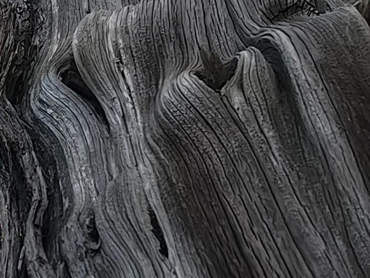 Les échantillons d'appareil photo Xiaomi 13 Ultra font trembler le ...