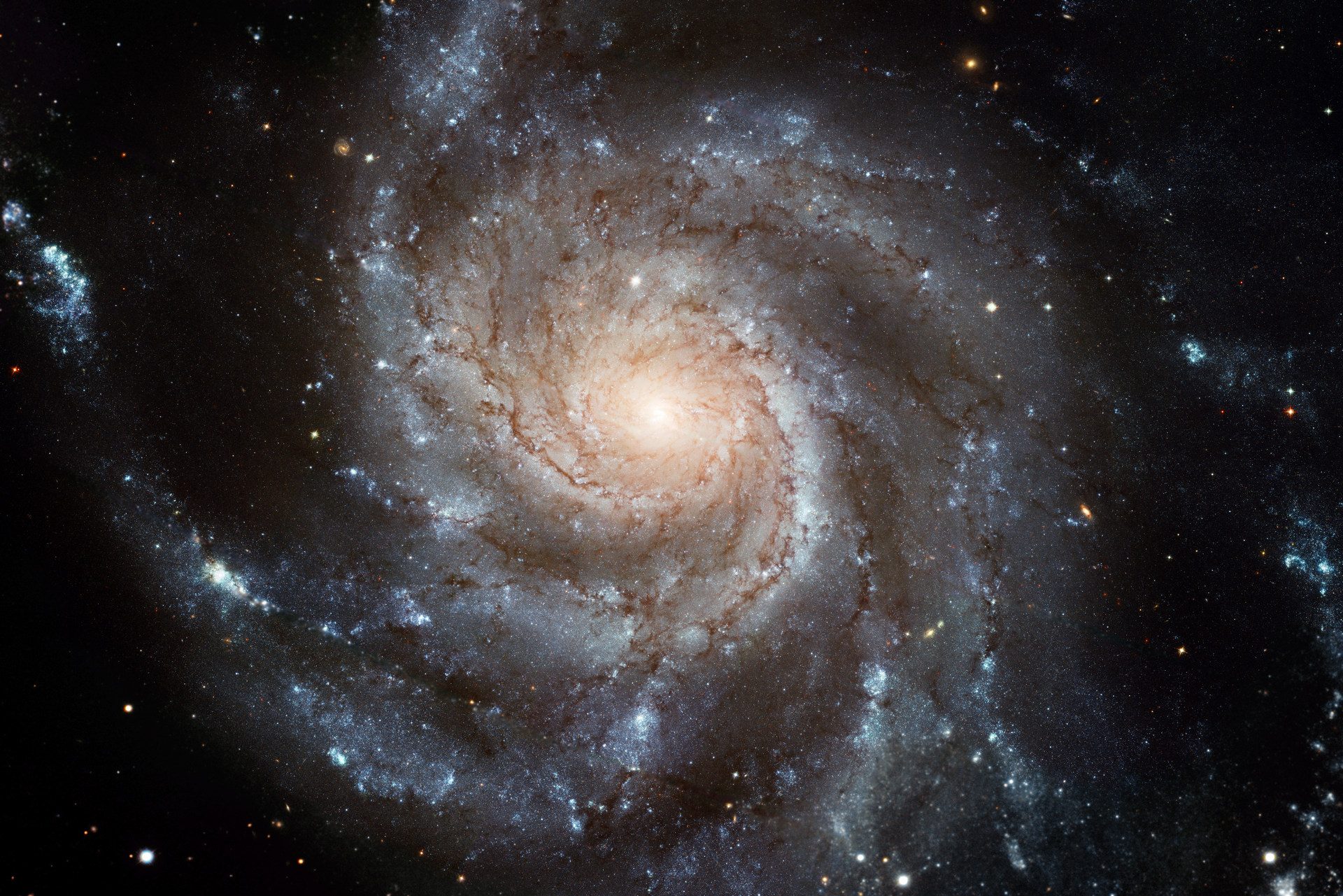 Une splendide supernova vient d'exploser dans la galaxie Pinwheel ...