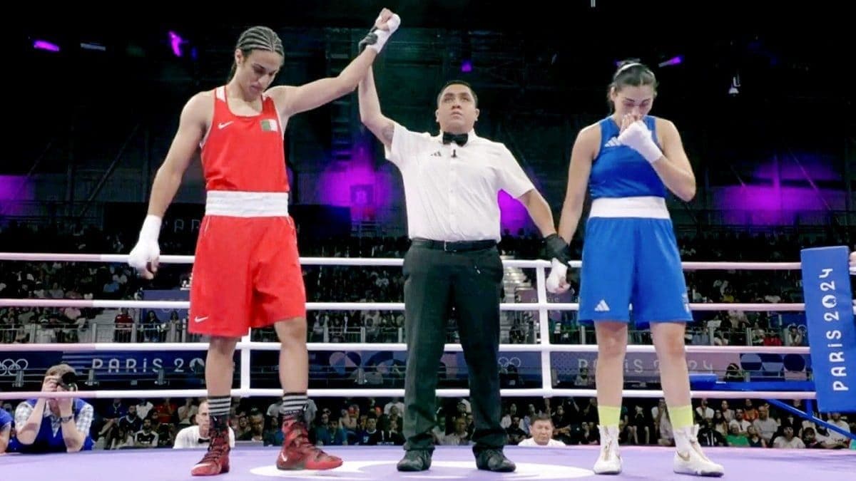 La boxeuse Imane Khelif n'est pas une personne trans : que disent les ...