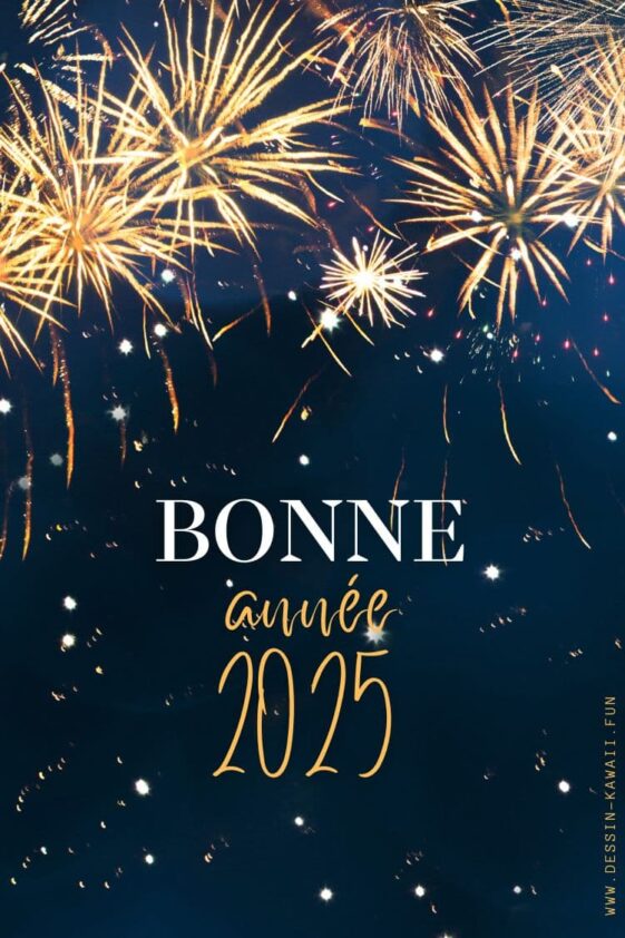 Bonne année 2025 : images et GIF humoristiques gratuits pour vos vœux ...