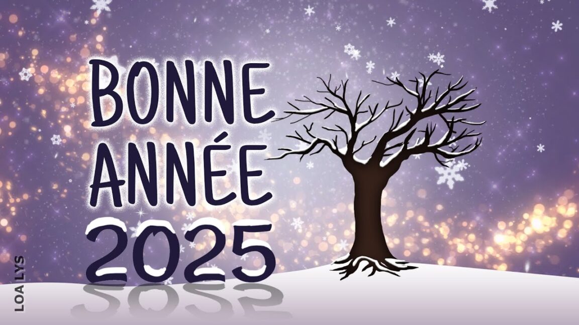 Bonne année 2025 : images et GIF humoristiques gratuits pour vos vœux ...